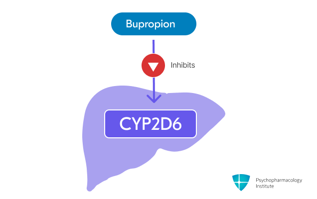 Bupropion Guide: Pharmacology, Indications, Dosing Guidelines and ...